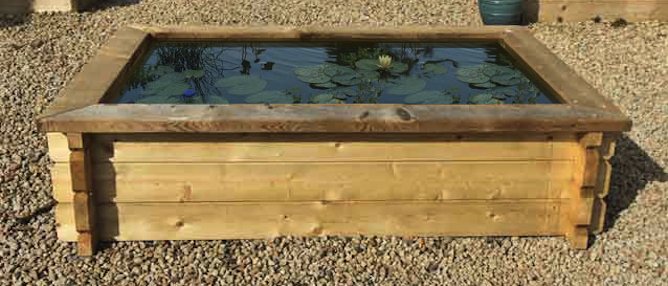 Raised Backyard Ponds